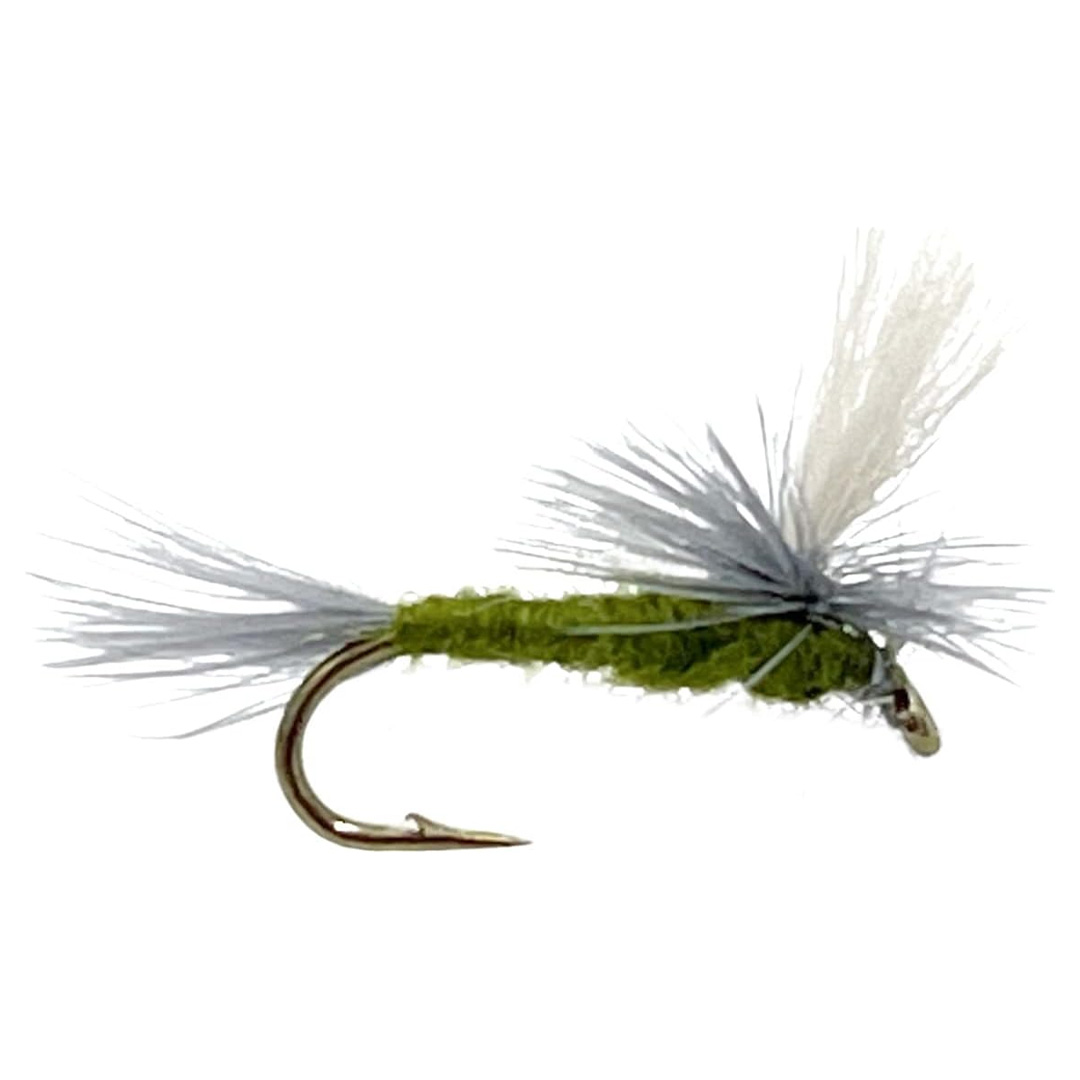Master Yellow Perch Fly Fishing: Top 10 Dry Flies to Catch More Fish Now!
