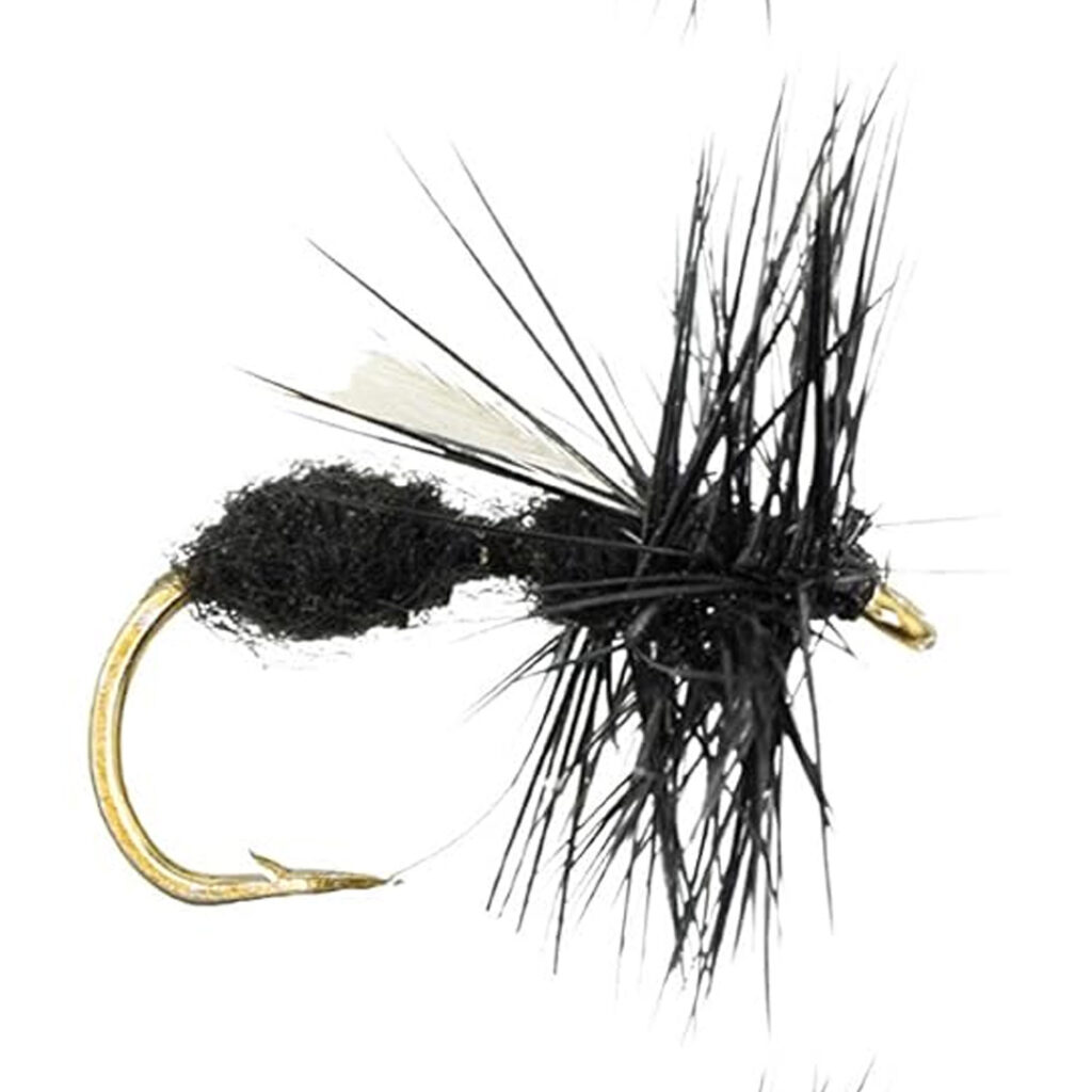 Master Yellow Perch Fly Fishing: Top 10 Dry Flies to Catch More Fish Now!